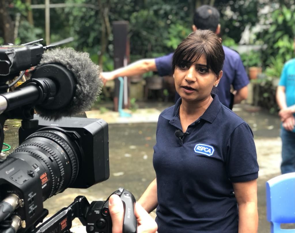 How history-making hero Herchy Boal saved animals - EasternEye