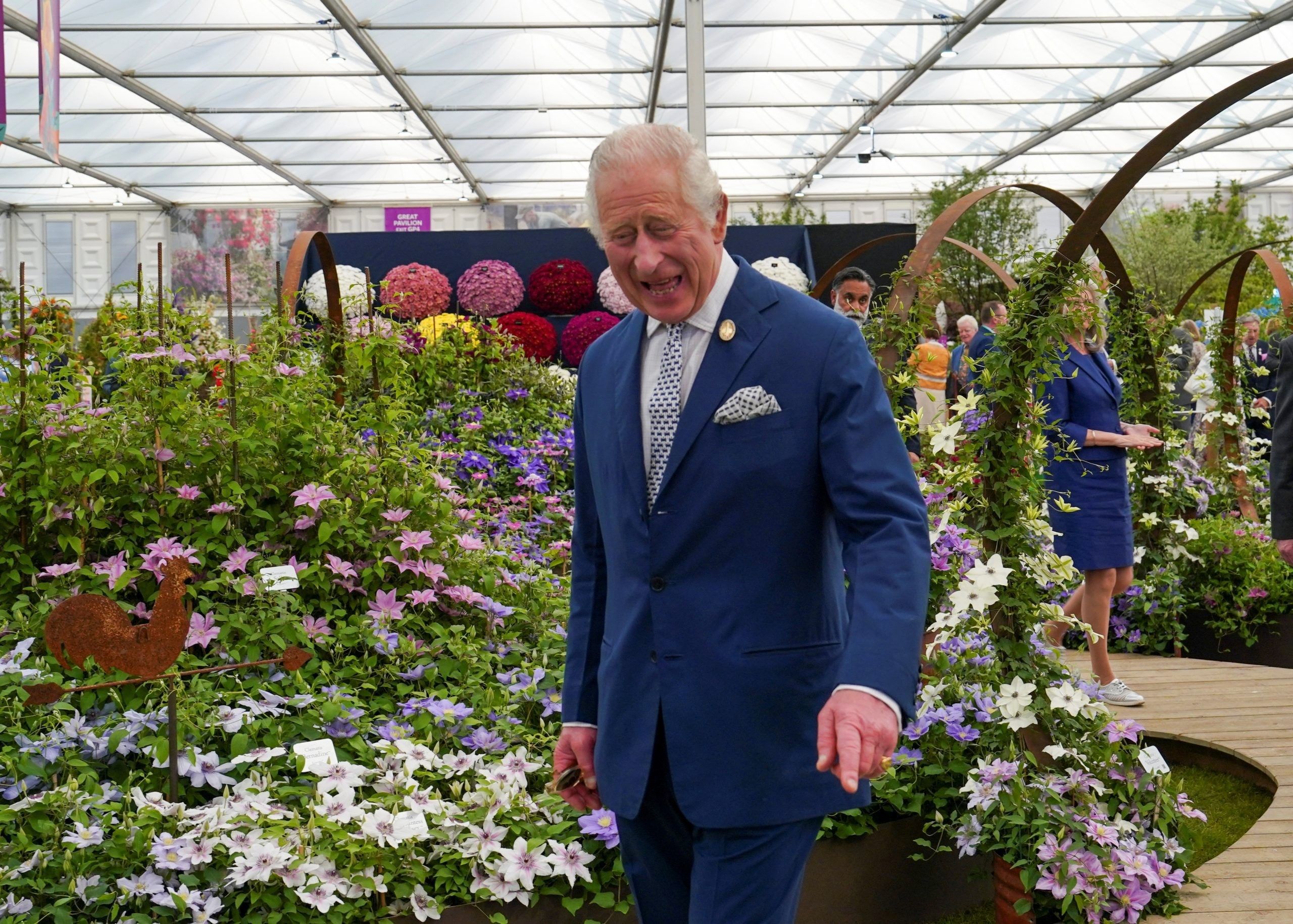 King Charles and Queen Camilla visit the Chelsea Flower Show - EasternEye