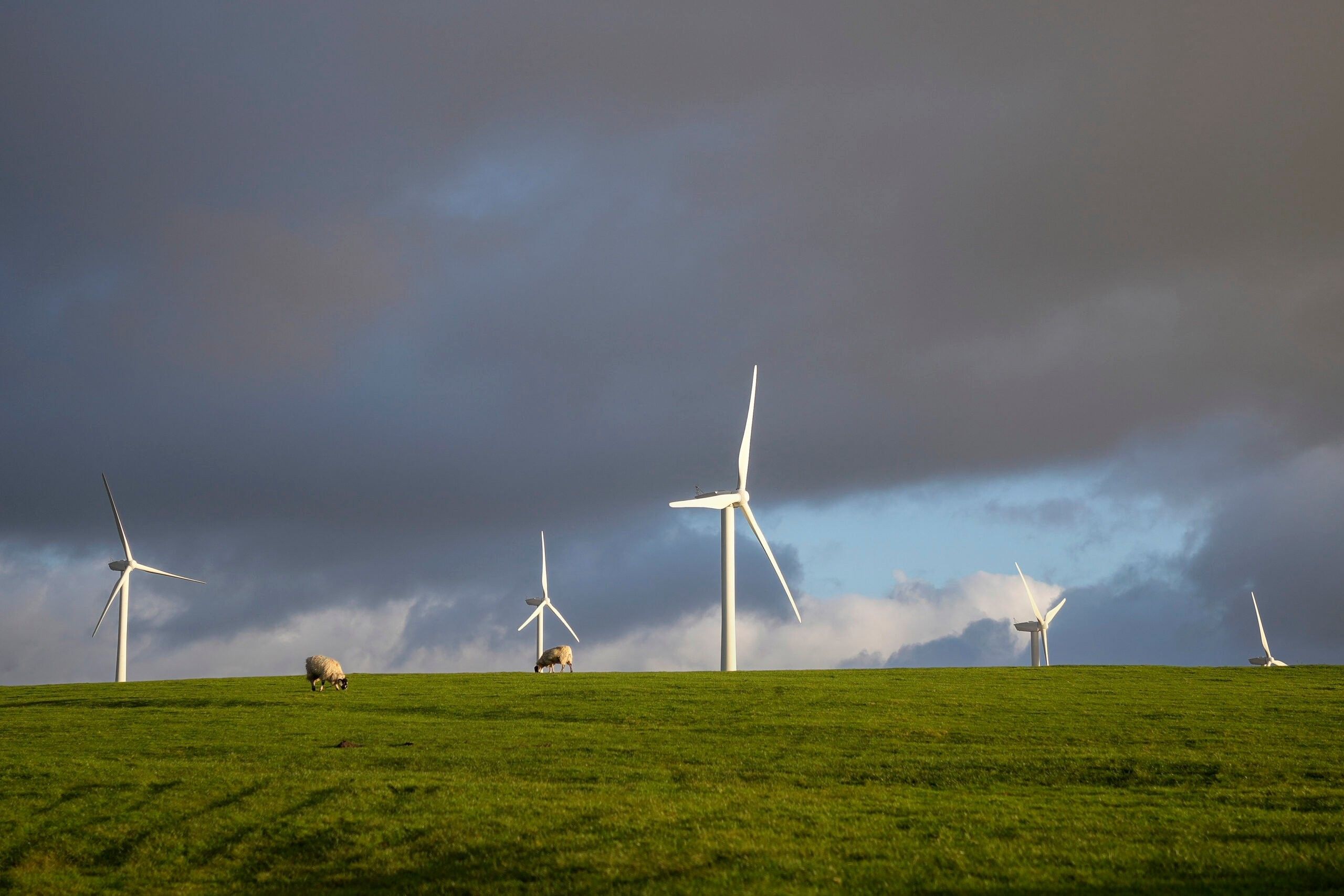 Britain will launch green energy plan - EasternEye
