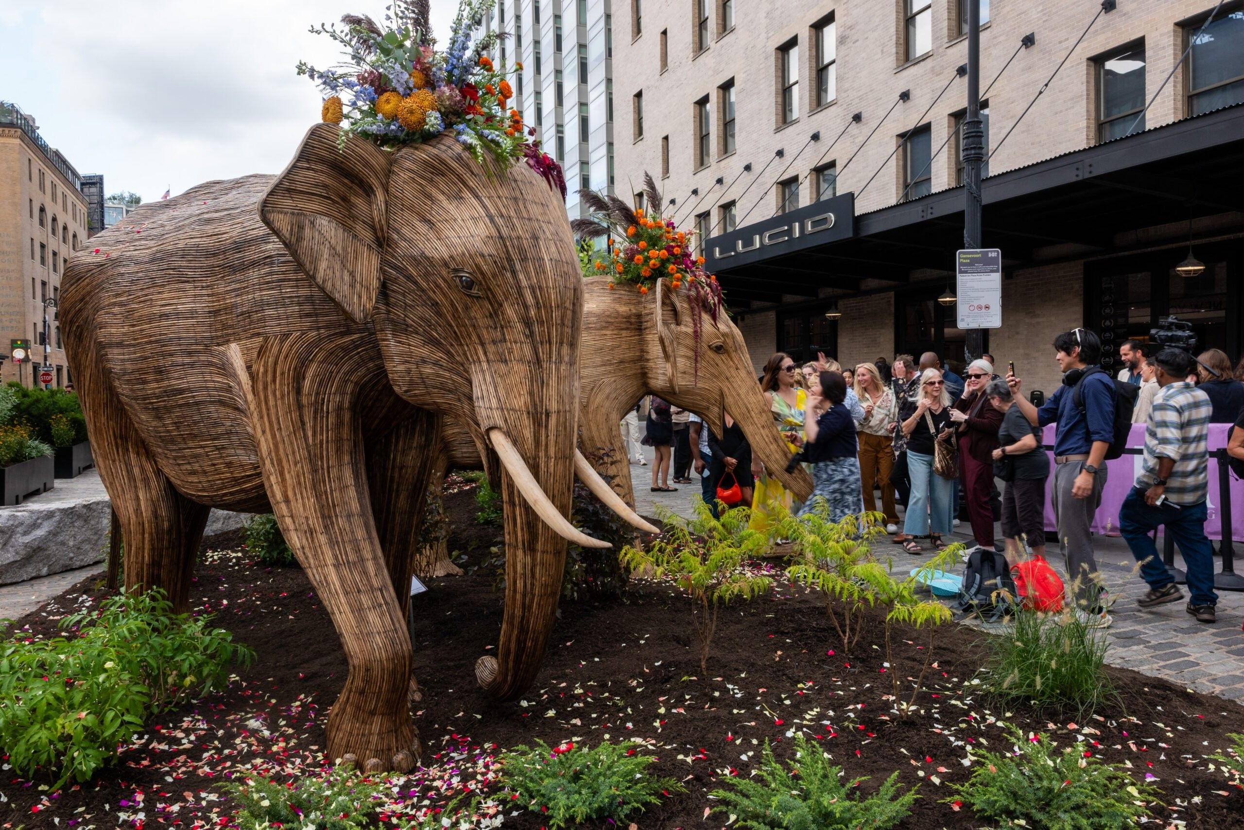 Life-sized elephant sculptures bring message of coexistence - EasternEye